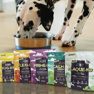 A-OK9 | Dog Health & Wellbeing