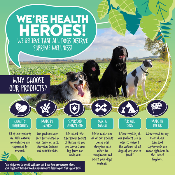 Calm-K9 Max Strength - Calming Supplements for Dogs | A-OK9