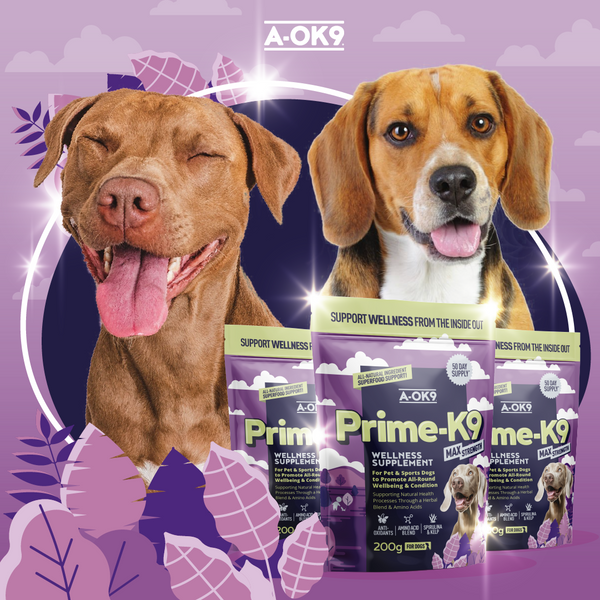 Prime-K9 Max Strength - A-OK9